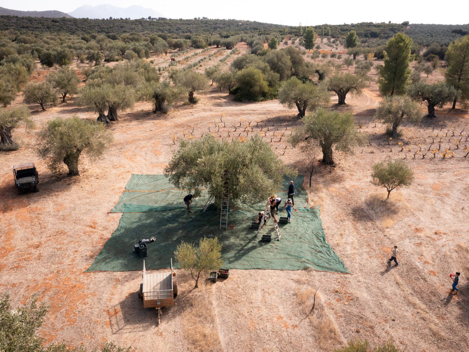 Sustainability, Community, and Love: Inside eumelia’s Harvest Ritual